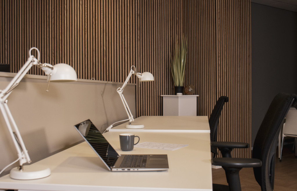 Cinnamon Interactive - Goinga