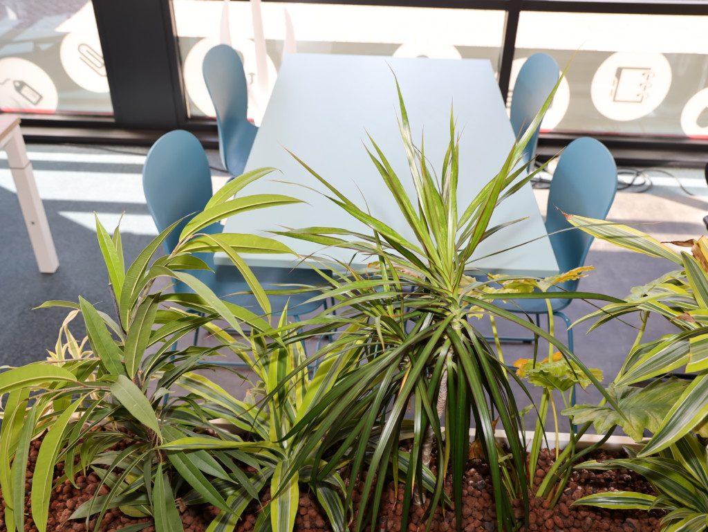 Levend groen - Goinga